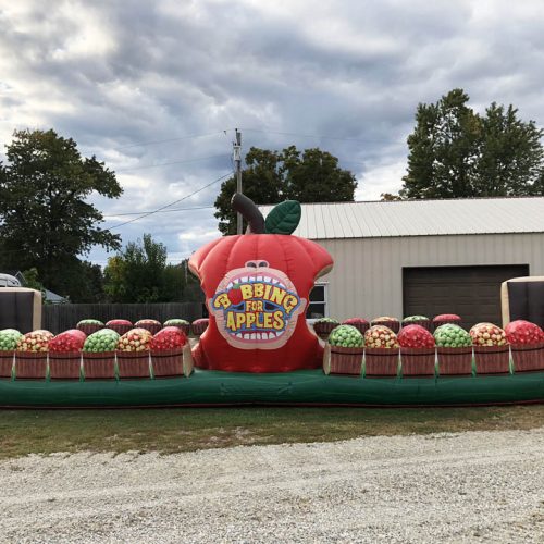 Bungee Bobbing for Apples Inflatable Rental | Cincinnati A-1 Amusement ...