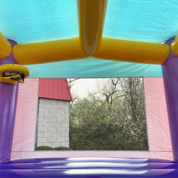 Girls Fun Dazzling Castle – Bounce House | Cincinnati A-1 Amusement ...