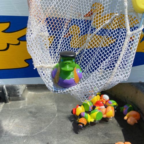Duck Pond – Holiday Ducks: Halloween | Cincinnati A-1 Amusement Party ...