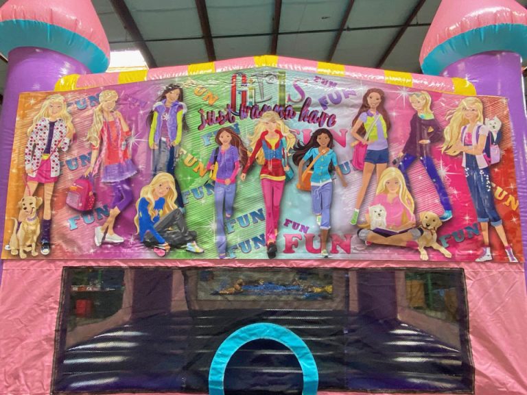 Girls Fun Dazzling Castle – Bounce House | Cincinnati A-1 Amusement ...